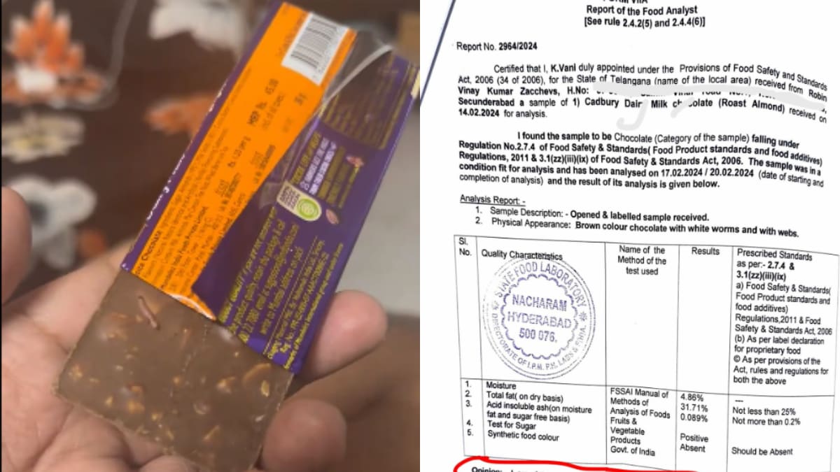 Man Who Spotted Worms In Cadbury Shares Dangerous Lab Results; Company ...