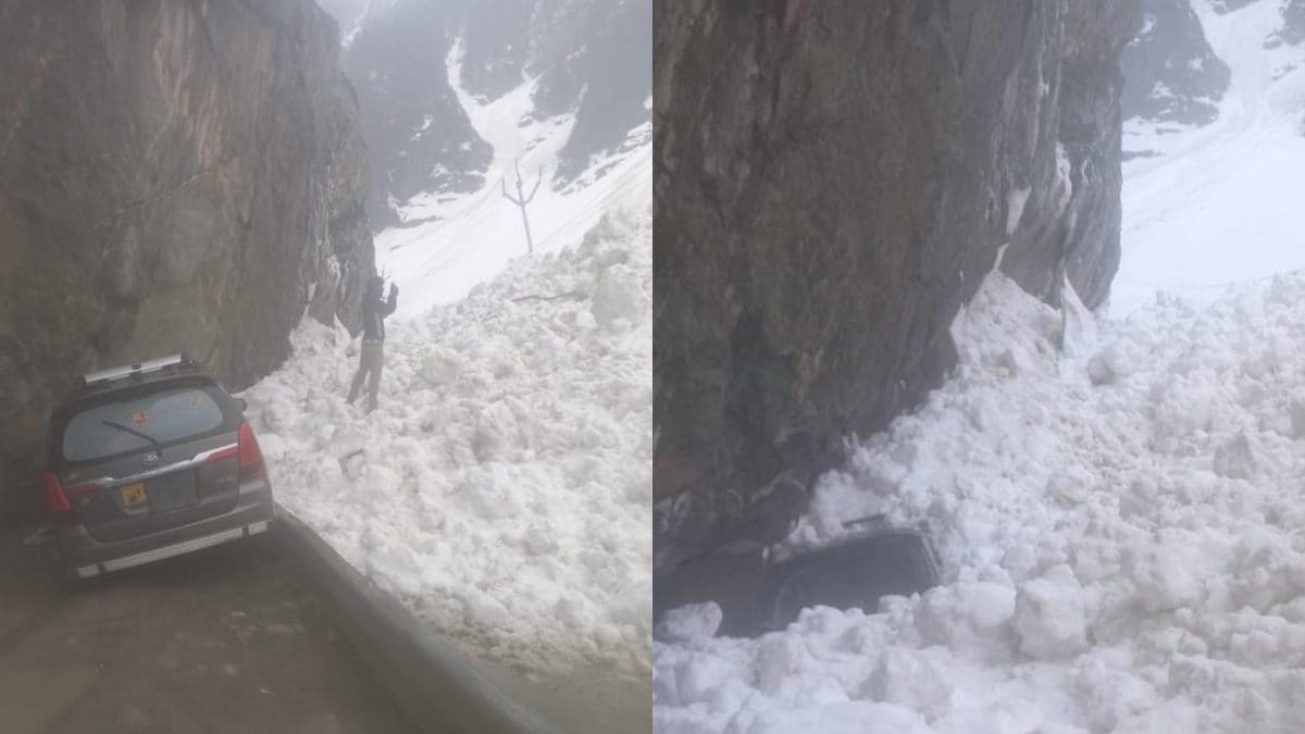 Massive Avalanche Hits Jammu & Kashmir’s Sonmarg, No Casualties Reported | Visuals | India News ...