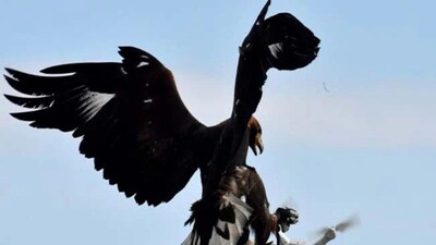 Meet Telangana's New 'Legal Eagles': Police Force Set to Deploy 'Flying ...