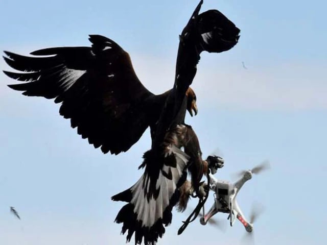 Meet Telangana's New 'Legal Eagles': Police Force Set to Deploy 'Flying ...