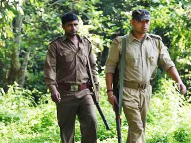 MP Forest Guard Recruitment 2023 Written Exam Results Declared at esb ...