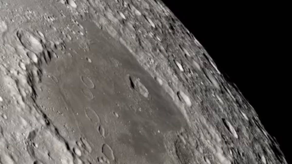 Why This Eight-legged Micro-animal Is Believed To Be The 1st Inhabitant ...