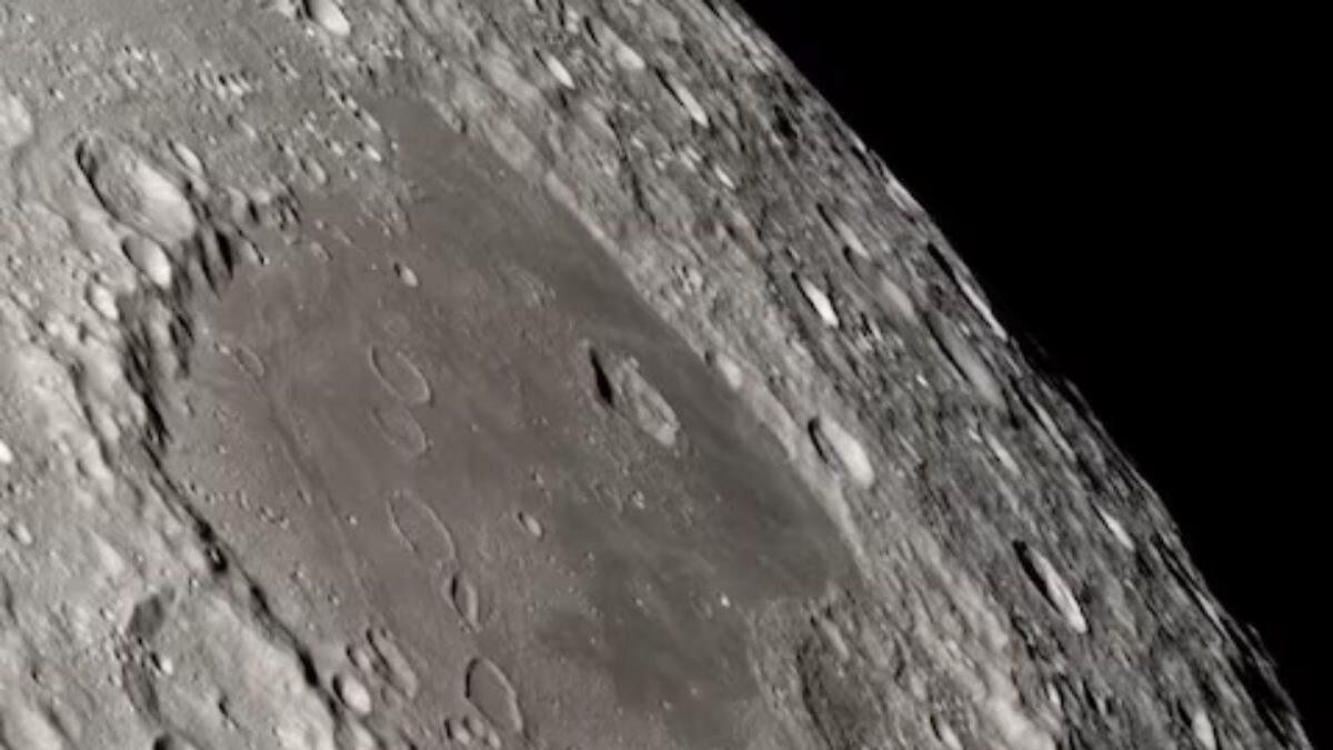 Why This Eight-legged Micro-animal Is Believed To Be The 1st Inhabitant ...