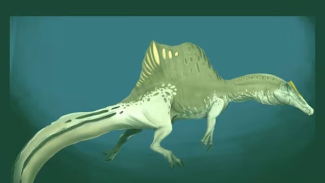 Palaeontologists Discover Unique Underwater Hunting Style Of Sail-back ...