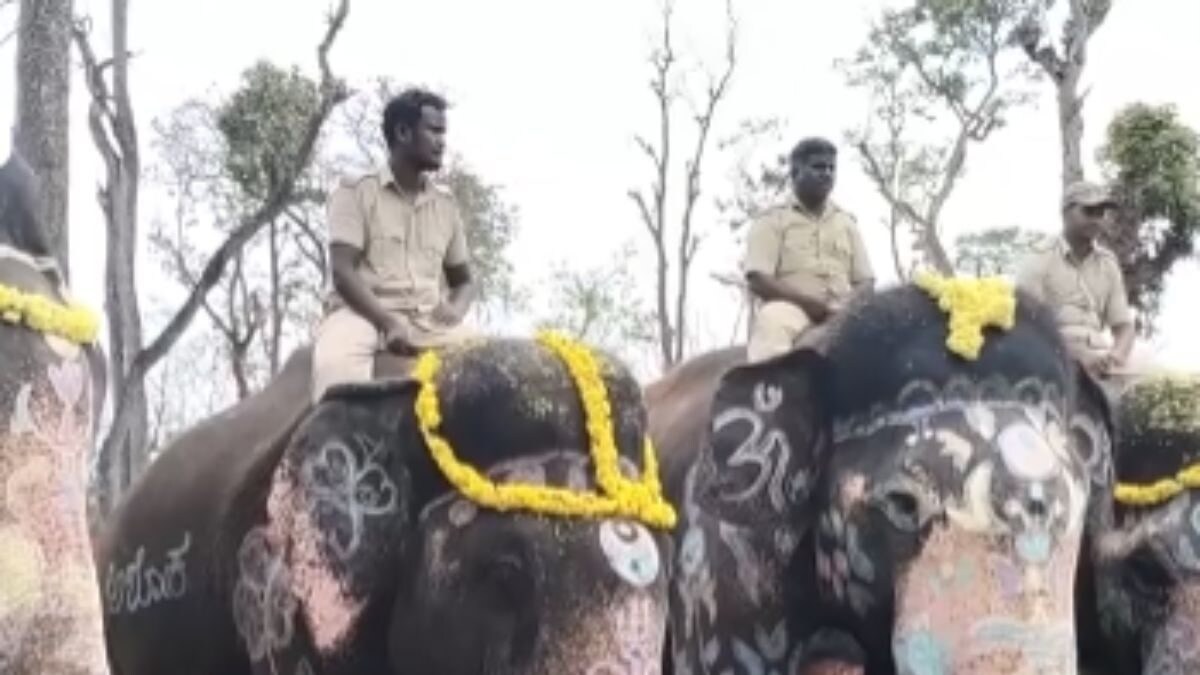 Mathigodu Elephant Camp In Karnataka’s Kodagu District Decalred A ...