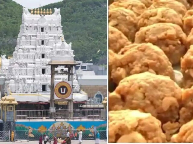 All About The Famous Laadus Prasadam At Tirumala's Sri Venkateswara ...