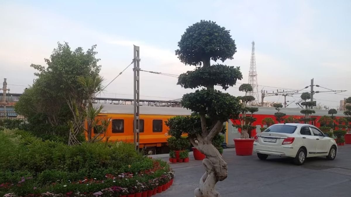 This Tree At New Delhi Railway Station Is Worth Rs 25 Lakh | Business ...