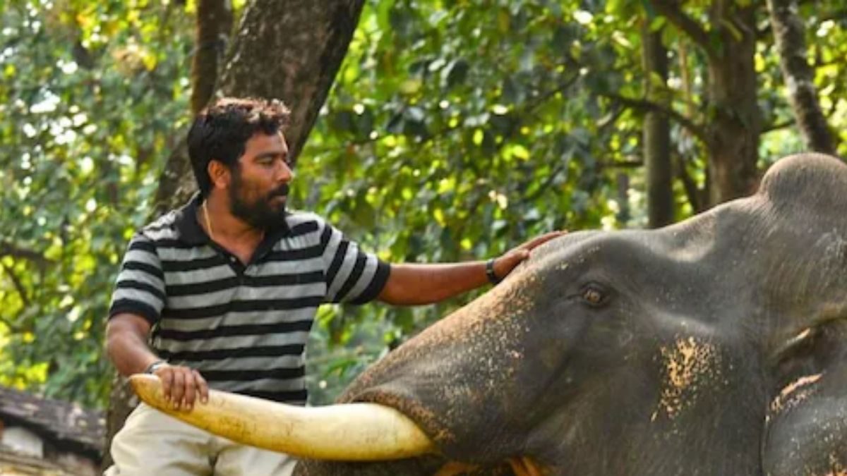 Ace Cinematographer M. Sukumarar Turns Villain For Director Muthaiya's ...