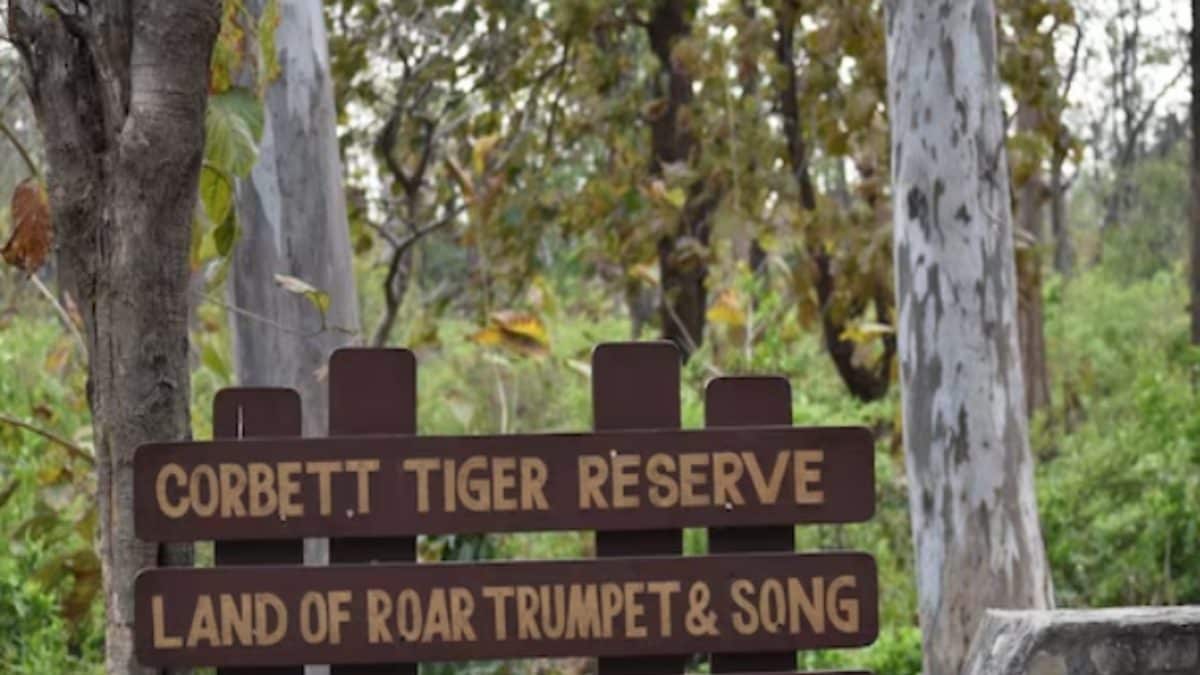 'Public Trust In Waste Bin': SC Raps Uttarakhand Over Illegal ...