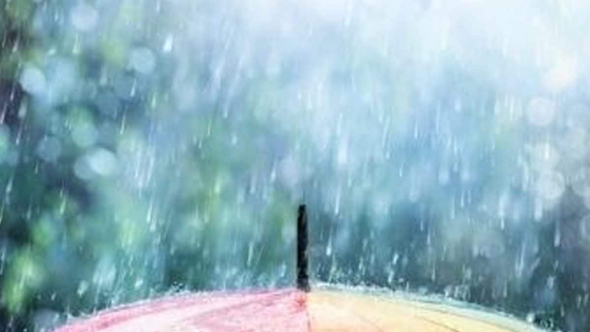 Scientists Say Some People Can Smell Rain Coming, Here's The Science ...