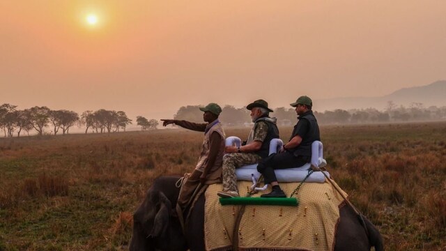 'This Morning...': After Safari at Assam's Kaziranga Park, PM Modi's ...