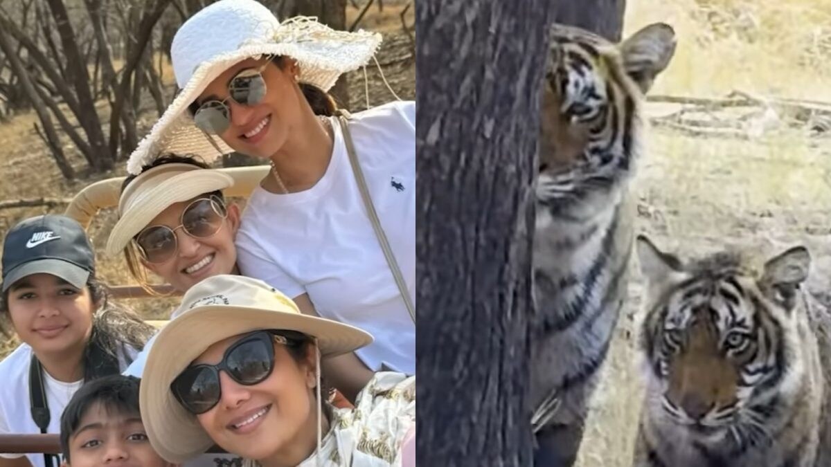 Shilpa Shetty Spots Tigers During Her Safari Trip To Ranthambore With ...