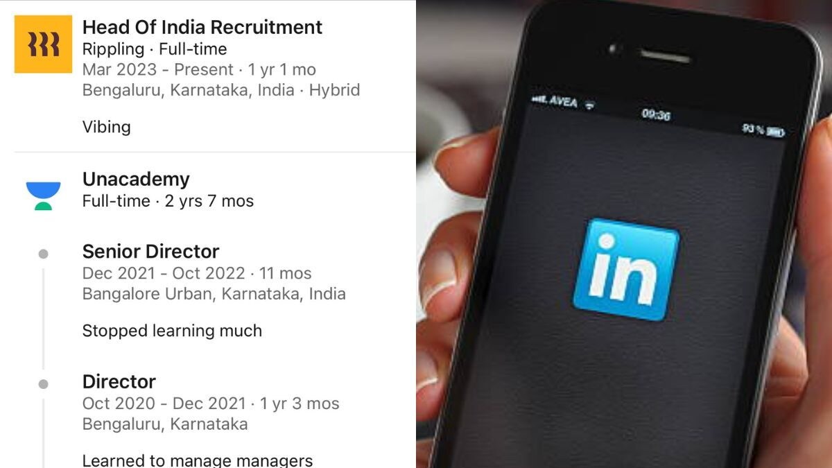 'Vibing': LinkedIn Profile Packed with Short, Hilarious Job Descriptions Goes Viral - News18