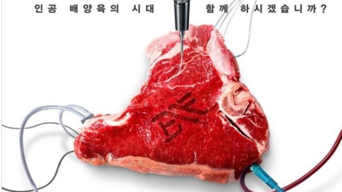 Joo Ji-hoon And Han Hyo-joo's Free Blood Gets A Release Date | Movies ...
