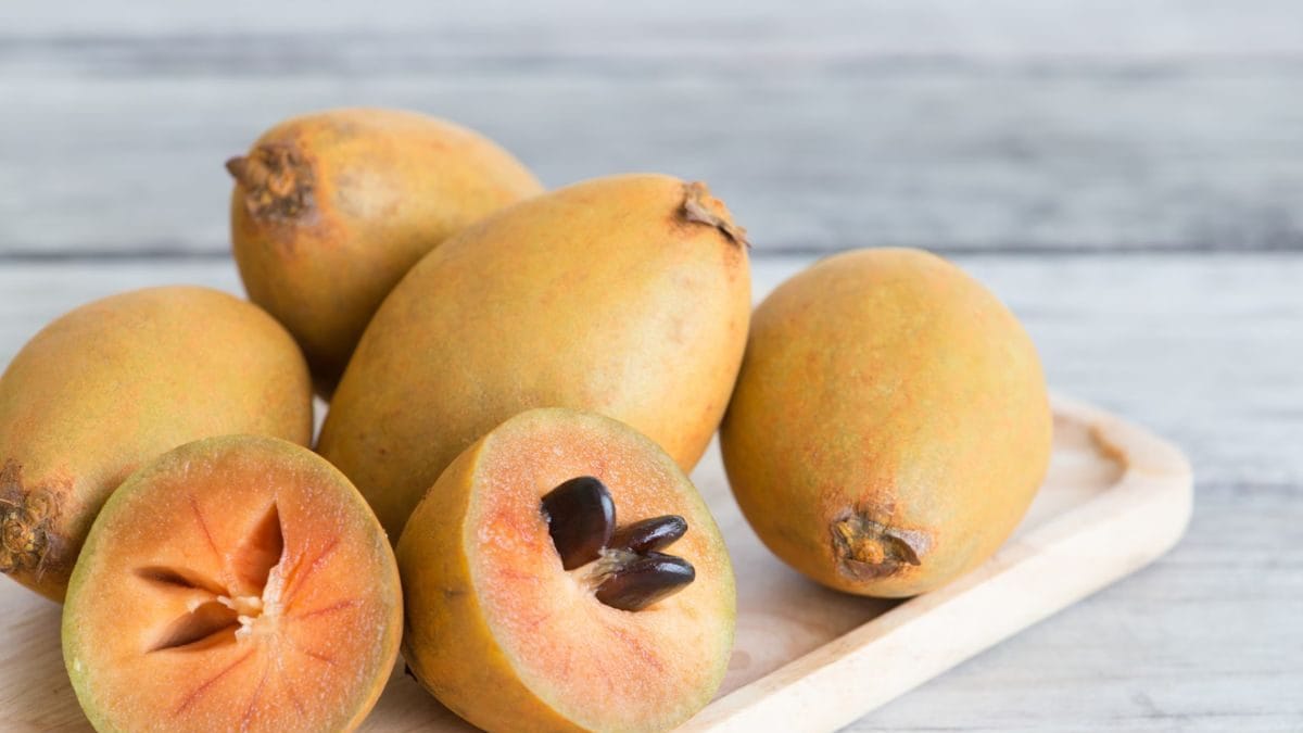 How Adding Sapota Fruits To Diet Can Aid In Weight Loss | Lifestyle ...
