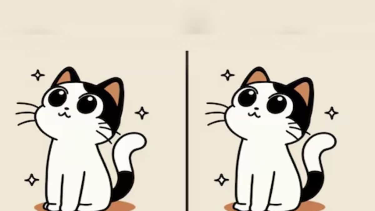 These 2 Identical Cat Photos Have 3 Differences; Can You Spot Them In 9 ...