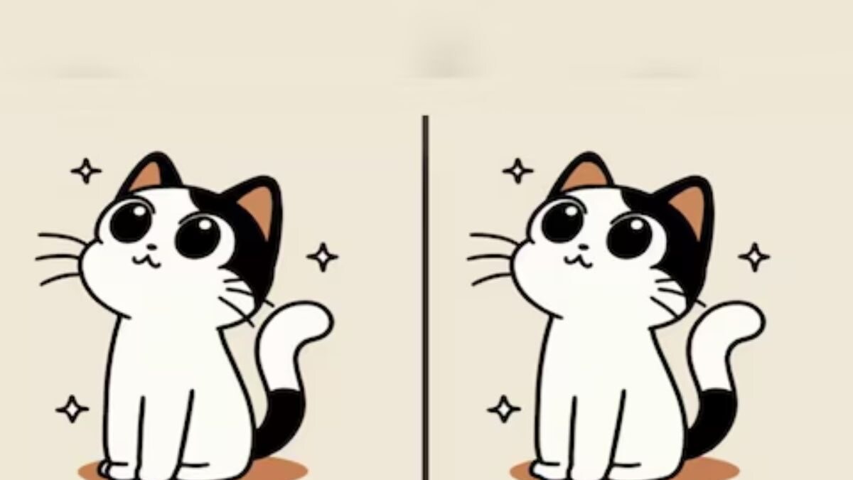 These 2 Identical Cat Photos Have 3 Differences; Can You Spot Them In 9 ...