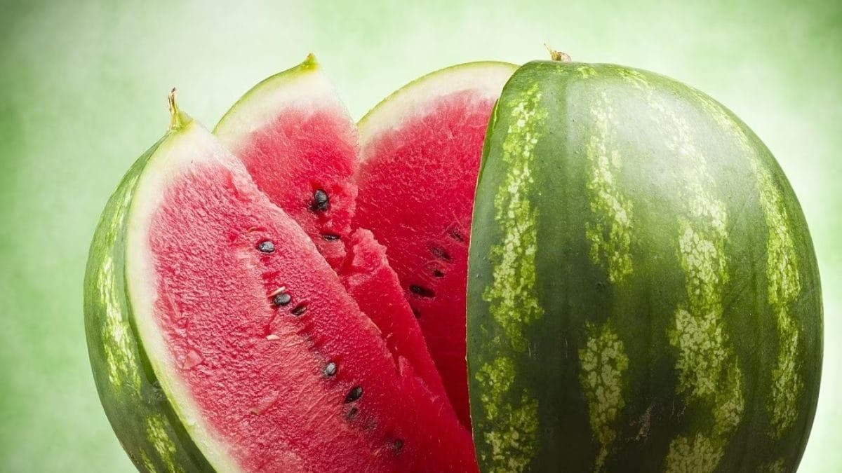 Why You Should Never Store Watermelon In A Fridge | Lifestyle News - News18