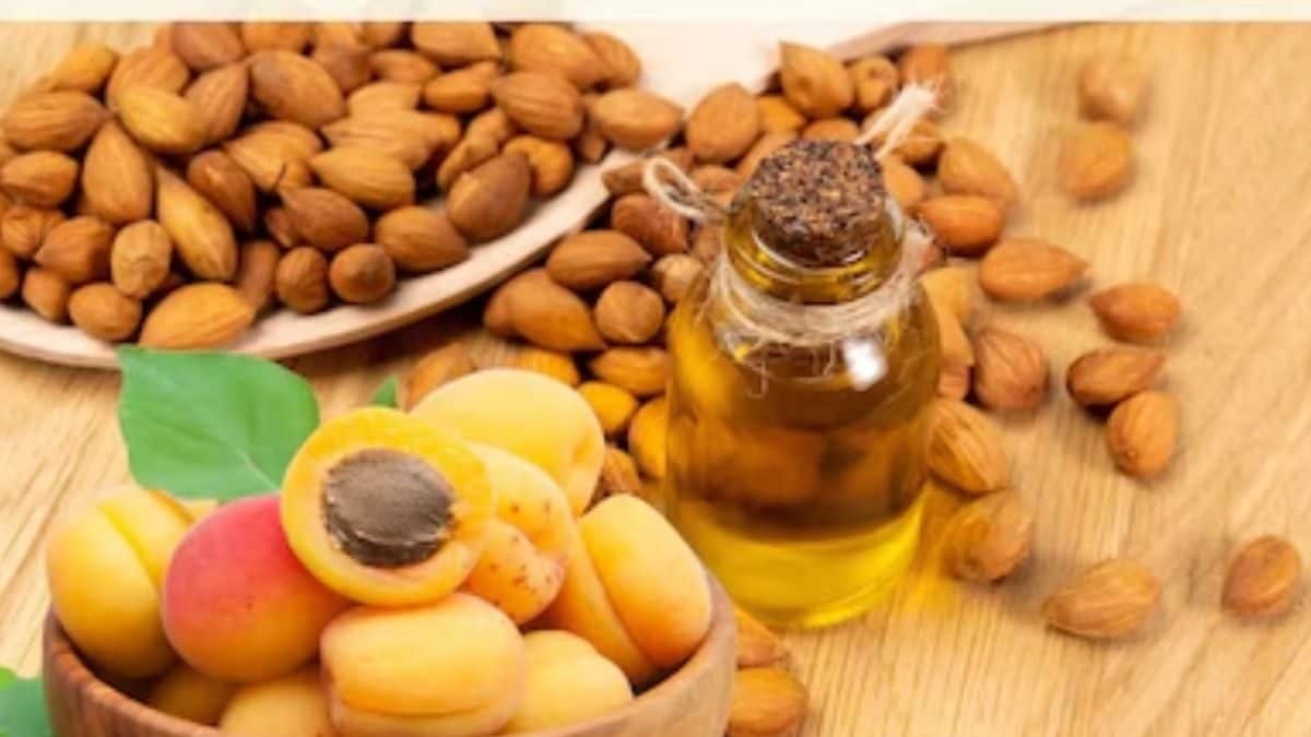 Apricot Seeds Used In Extraction Of Medicinal Compounds For Blood ...