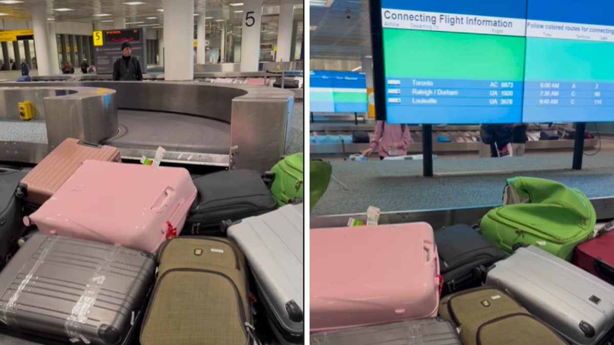 Frequent Flyer? This Video Of Baggage Carousel At US Airport Is A ...