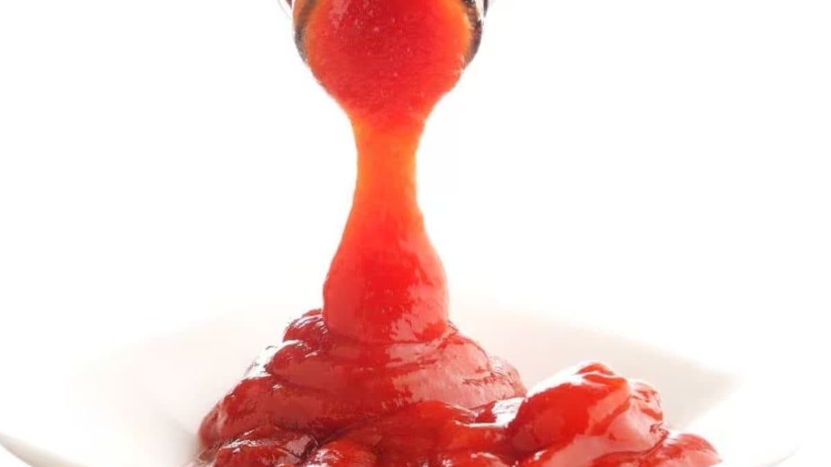 ‘Ketchup Is Fruit Smoothie’: Internet Reacts To US Govt's Suggestion To ...