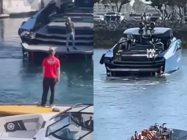 Video: Indian-American Exposes Himself on Yacht, Threatens Dock Worker ...