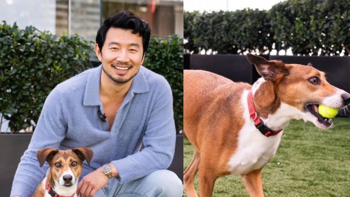 Simu Liu Reveals How This Dog From Arthur The King 'Saved His Life ...