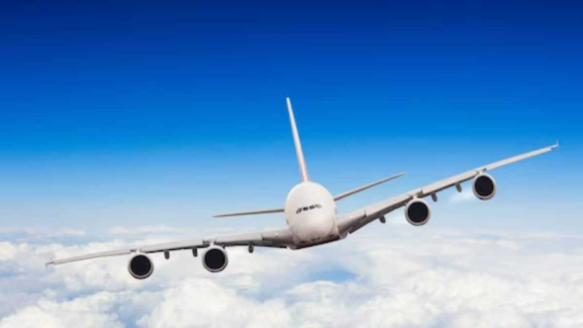 Flight Gets Delayed For 4 Hours After Man Throws 'Good Luck' Coins Into ...