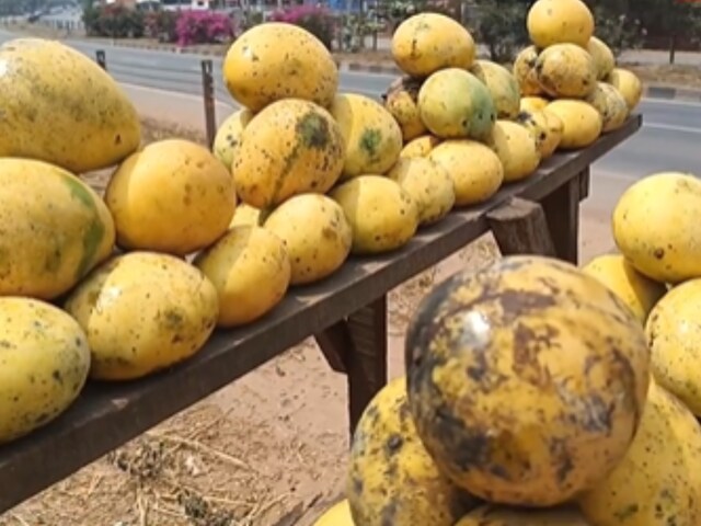 In Andhra Pradesh's East Godavari, Mangoes Arrive In The Market Ahead ...