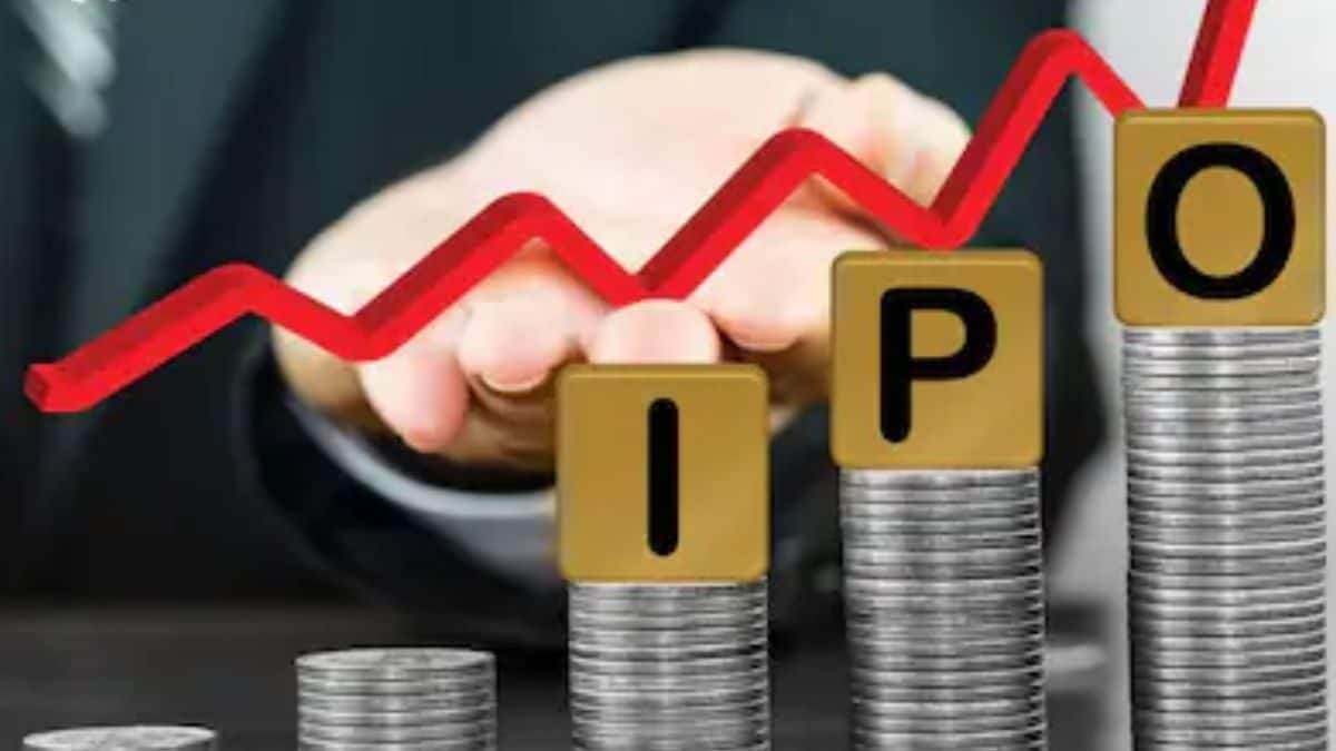 IPO Financing: Can You Take Loan For IPO Subscription? Check All Details Here | Business News ...
