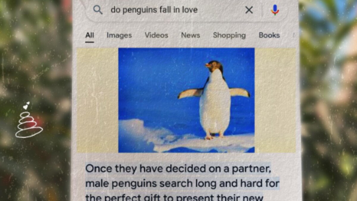 Google Shares Random 'Otterly Adorable' Animal Facts, Grabs Internet's ...