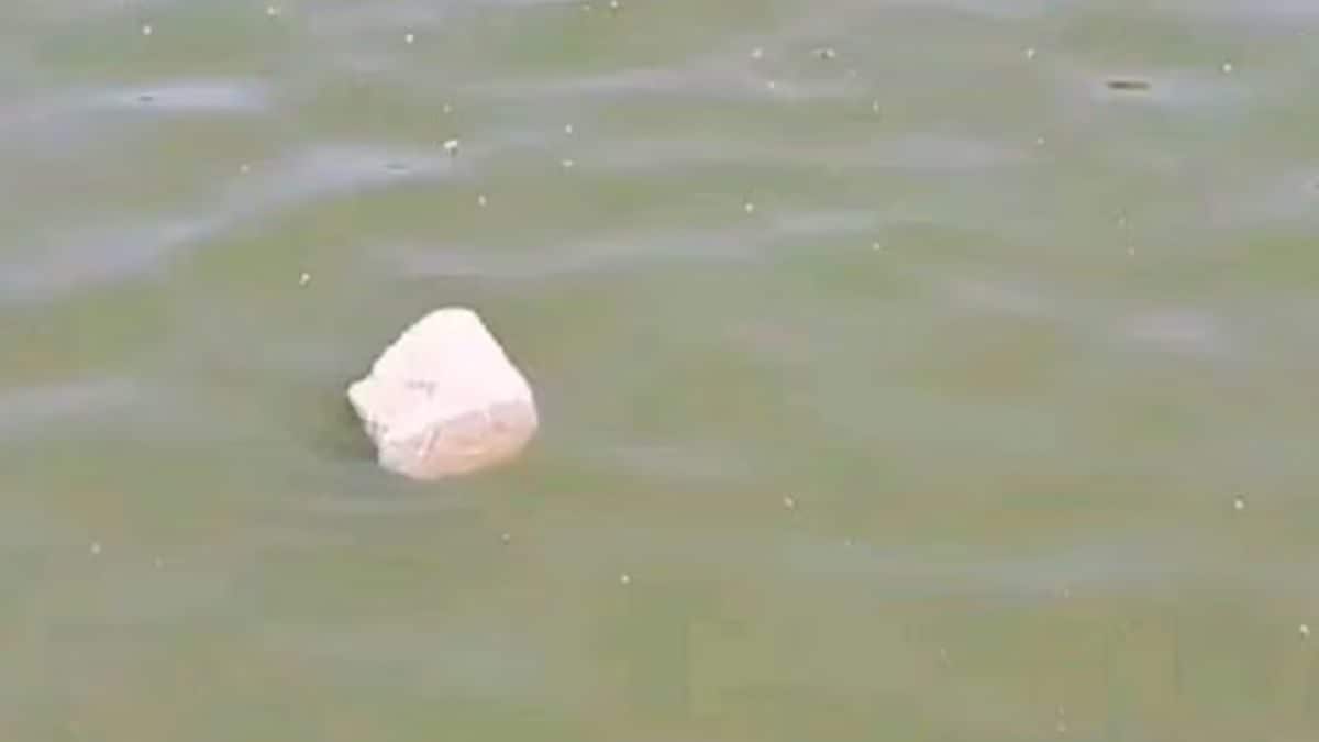 In Gaya's Ramsagar Pond, Four Stones Floating On Water Spotted | Viral ...