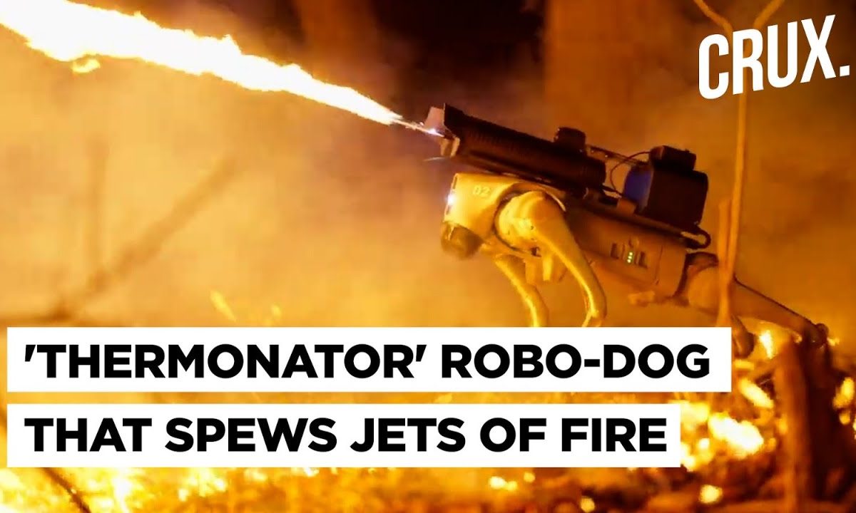 $10K Robot Dog That Fires 30-Foot Flames Hits US Markets | ‘Thermonator’ Aimed At Wildfire ...
