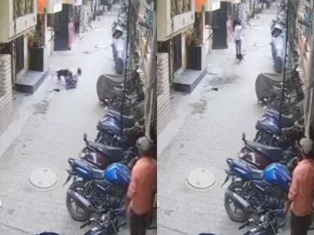 Caught on CCTV | Pit Bull Mauls Teen on Ghaziabad Lane, Stray Dogs Try ...