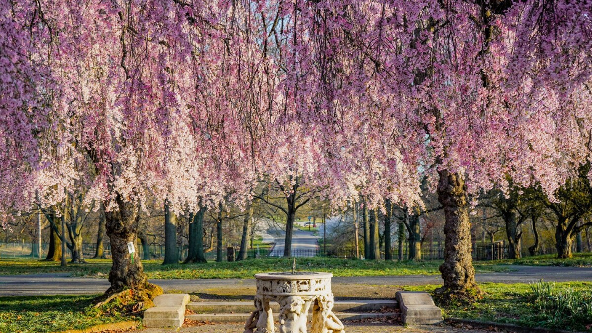 Travel 2024: A Spring Fling in Philadelphia in USA | Lifestyle News ...