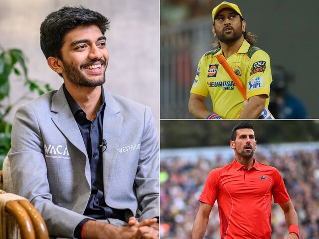 MS Dhoni and Novak Djokovic's Pressure-soaking Ability Attracts Chess ...