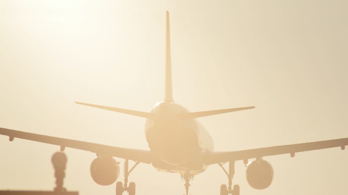 Meet Vesna Vulovic, The Flight Attendant Who Survived 33,000 Feet Fall ...