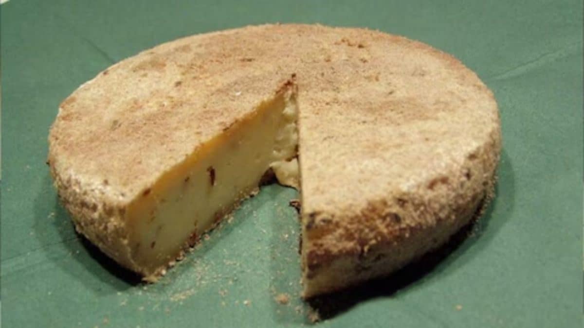 DYK People In Germany Eat This Goat Cheese Infested With Millions Of ...