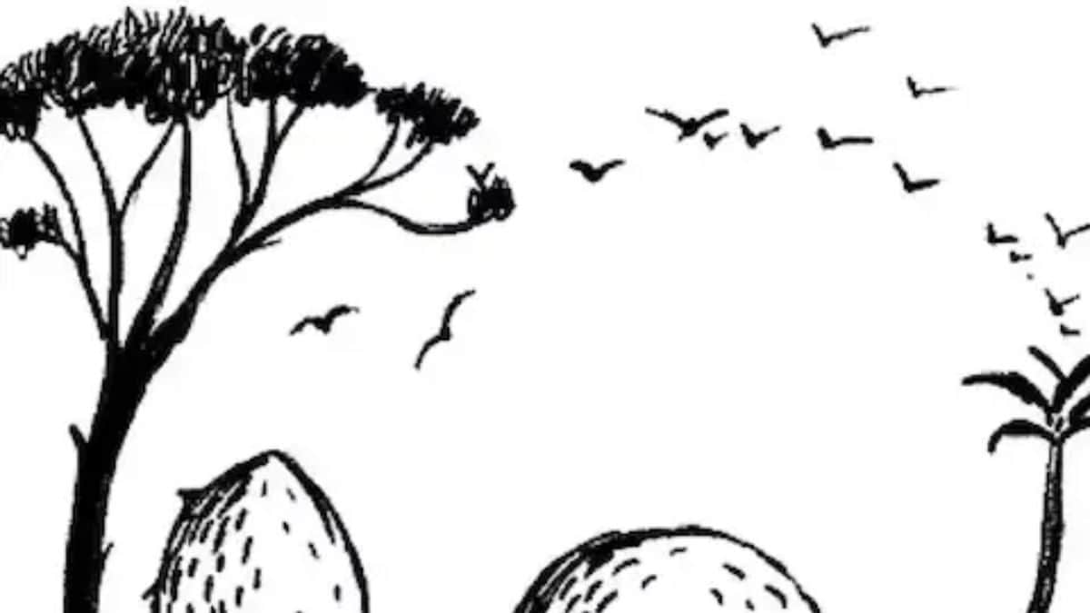 Spot The Hidden Elephant In This Optical Illusion In 5 Seconds | Viral ...