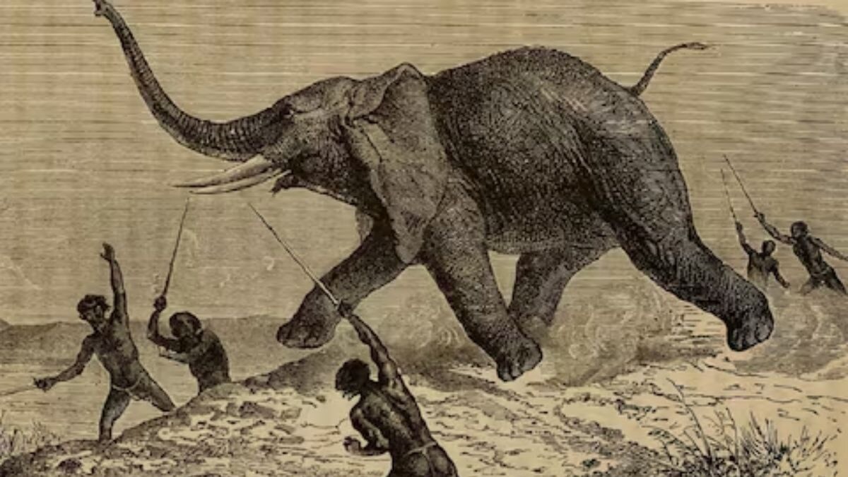 Israeli Archaeologists Find How Early Humans Hunted Elephants In ...