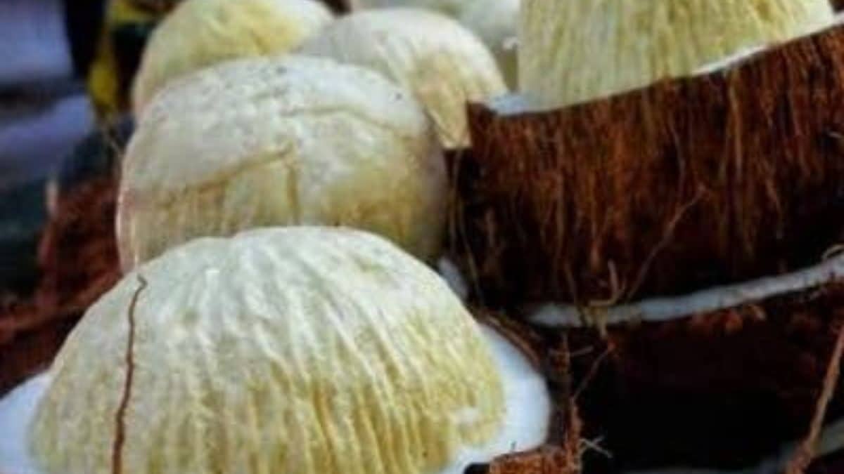 Coconut Flower Sales Witness Surge In Tamil Nadu's Viluppuram; A Look ...