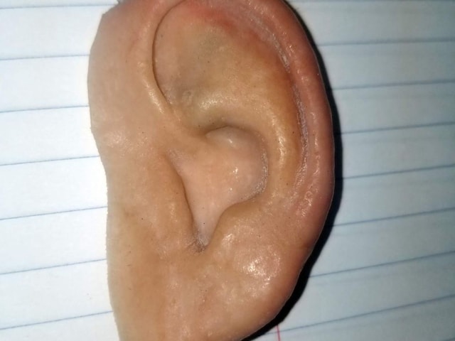 Eye Balls To Teeth, The Body Parts That Do Not Grow From Birth To Death ...