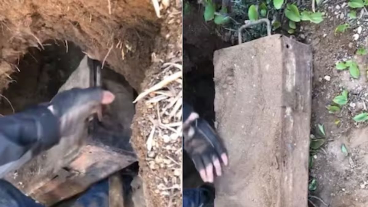 Watch: Man Unearths A Box Filled With Precious Metal Statues | Viral ...