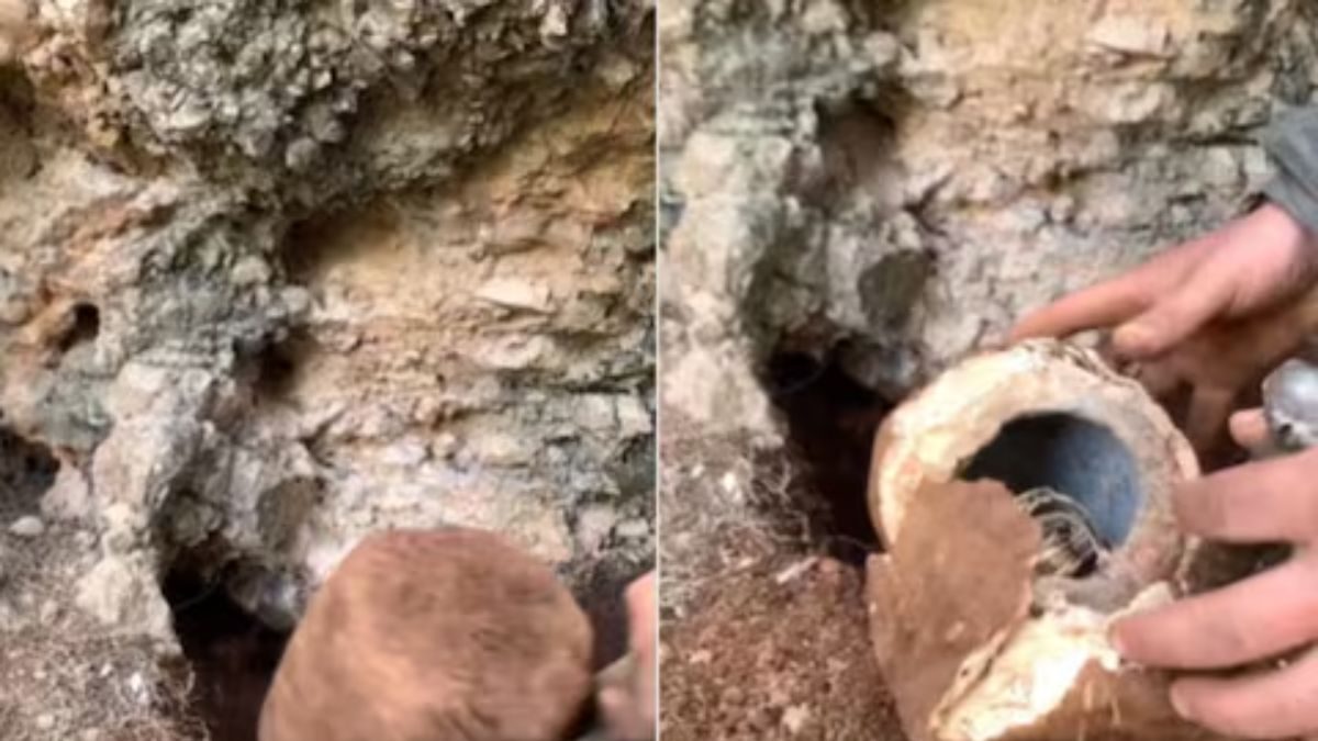 Watch: Man Digs Unique Stone, Breaks It To Find Gold Chains And Coins ...
