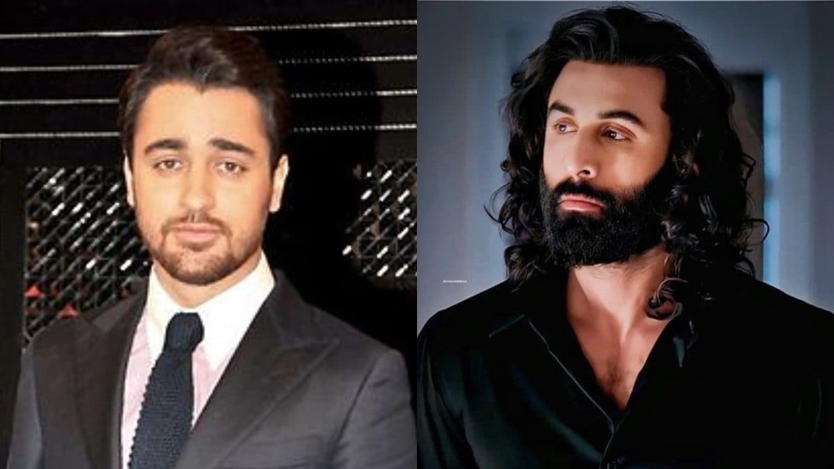 Imran Khan Denies Taking Dig at Ranbir Kapoor's Film 'Animal', Says 'I ...