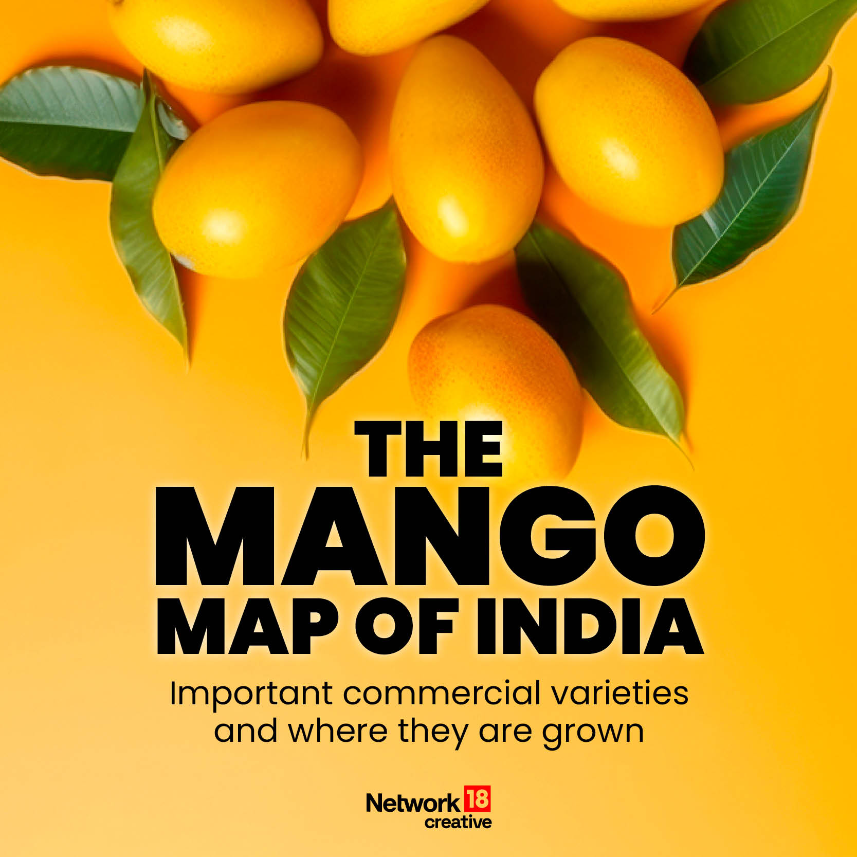 From Alphonso To Gulabkhas, Varieties Of Mangoes Are Grown Across ...