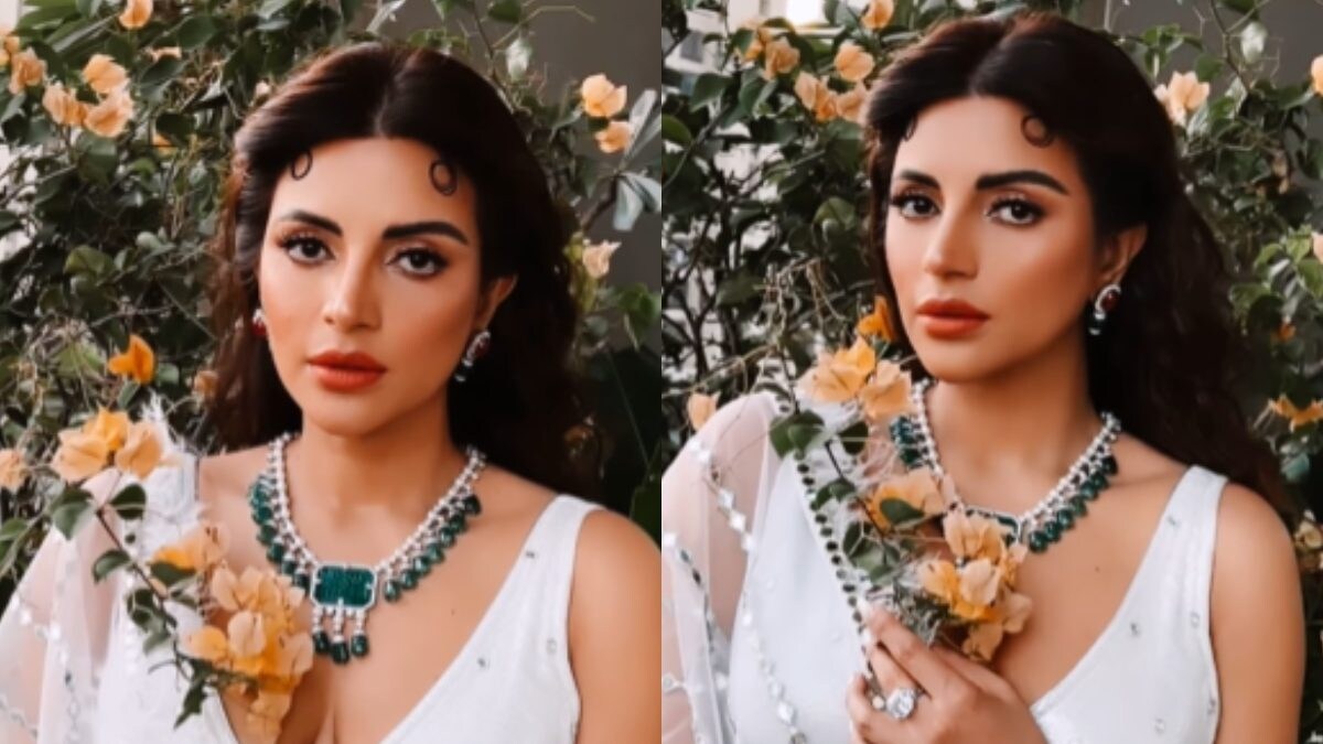 Sexy Video! Shama Sikander Turns Up The Heat In Deep-Neck Choli, Hot ...