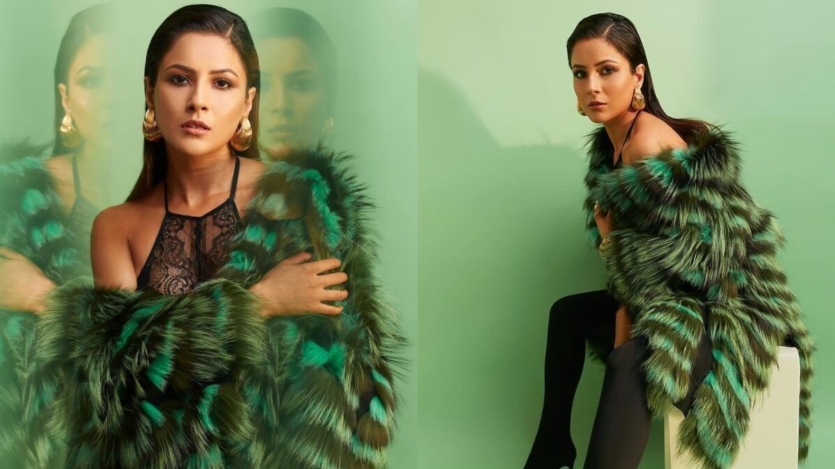 Sexy! Shehnaaz Gill Goes Bold In Latest Furry Look; Hot Photos Leave ...