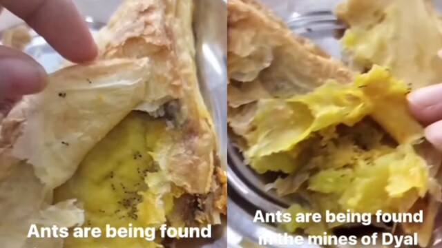 Viral Video From DU Canteen Shows Dead Ants in Samosa, Internet Says ...