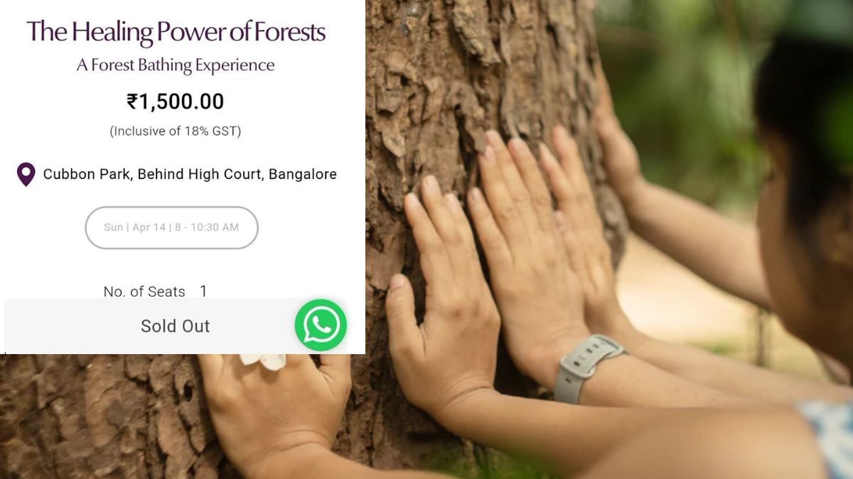 Rs 1500 for Hugging Trees? Bengaluru's Forest Bathing Experience Comes ...